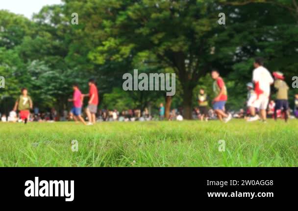 Sunday football park Stock Videos & Footage - HD and 4K Video Clips - Alamy