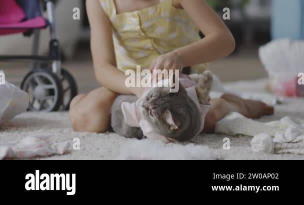 Girl putting clothes on cat Stock Video Footage - Alamy