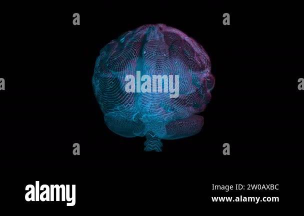 Cyclically rotating computer model of the human brain. Animation with ...