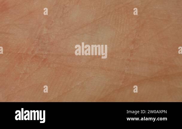 Macro skin on the human palm of the male open hand. Closeup surface ...