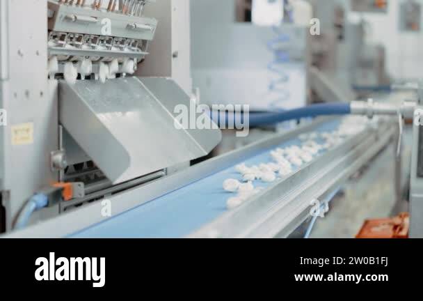 Automatic Machine Production Process at a Dumpling Factory. Fresh Raw ...