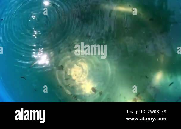 white wireless computer keyboard falling into the water spraying view ...