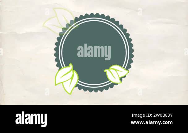 Traditional typing Stock Videos & Footage - HD and 4K Video Clips - Alamy