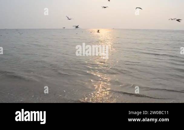 Sea horizon wave Stock Videos & Footage - HD and 4K Video Clips - Alamy