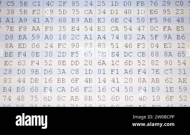 Program Code Code On The Monitor Binary Hexadecimal Program Code On Screen Animated