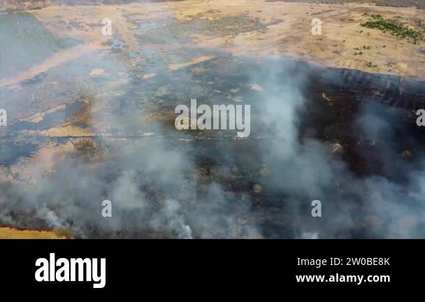 Dry grass burning in the field. Aerial view of smoking wild fire. Large ...