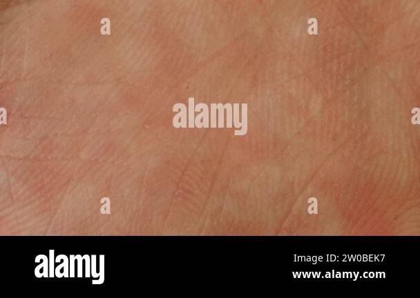 Hand palm texture Stock Videos & Footage - HD and 4K Video Clips - Alamy