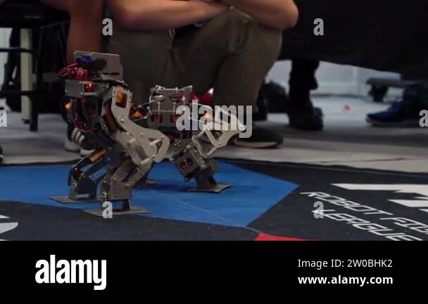 Competition robot technology. Couple of modern robots fighting. Smart robotic fighting. Students ...
