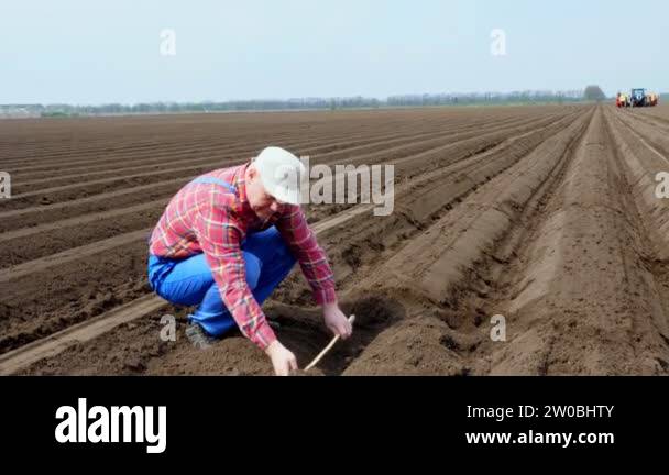 agronomist, farmer checks quality of cultivator potatoe planting ...