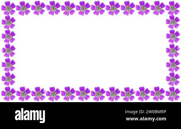 Dancing flower Stock Videos & Footage - HD and 4K Video Clips - Alamy