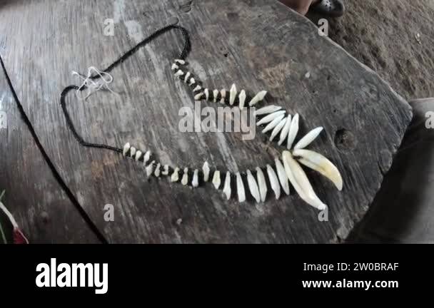 Necklace made of jaguar and monkey teeth by Kuna Indians of Darien or ...