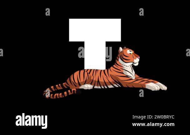 Animated zoological English alphabet. Alpha matte motion graphic ...