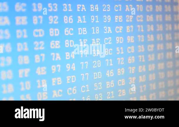 Movement Of Figures On The Screen Binary Code Hexadecimal Program Code On Screen Animated