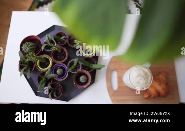 Pots breakfast Stock Videos & Footage - HD and 4K Video Clips - Alamy