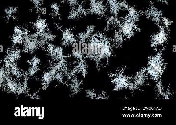 Beautiful freezing animation. Patterns of ice and frost spread to the ...