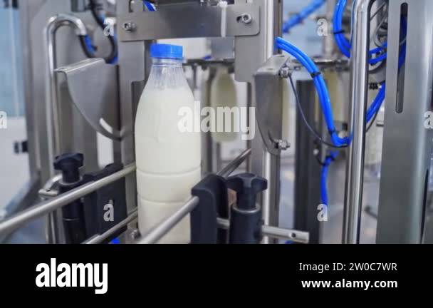 Plastic bottles filling with milk. Milk pouring into plastic bottles at ...