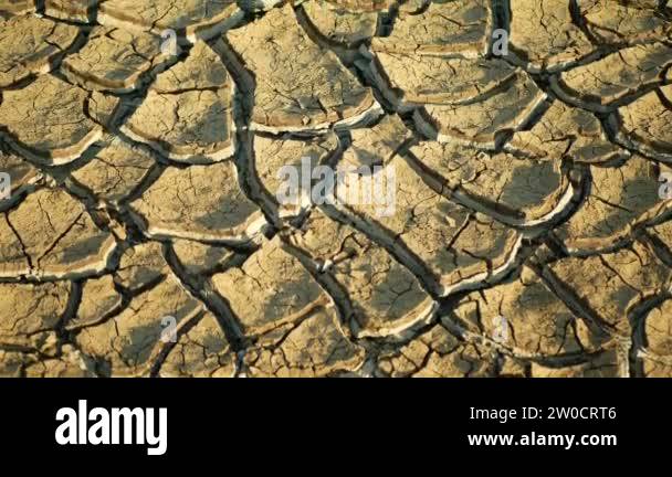 Drought cracked pond wetland swamp bog clay drying up the soil crust ...