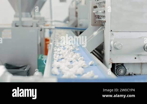 Automatic Machine Production Process at a Dumpling Factory. Fresh Raw ...