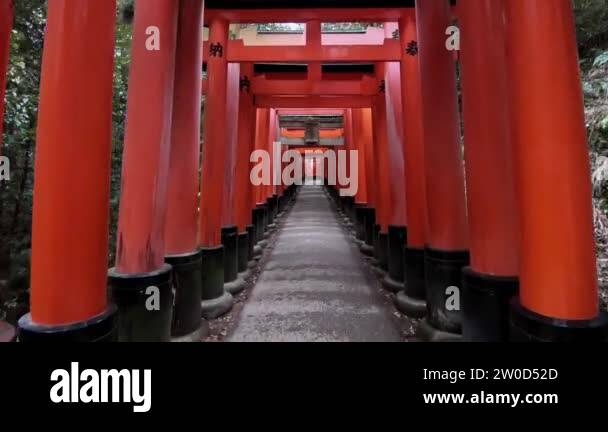 4K, Beautiful red Tori Gate at famous Fushimi Inari-Taisha shrine in ...