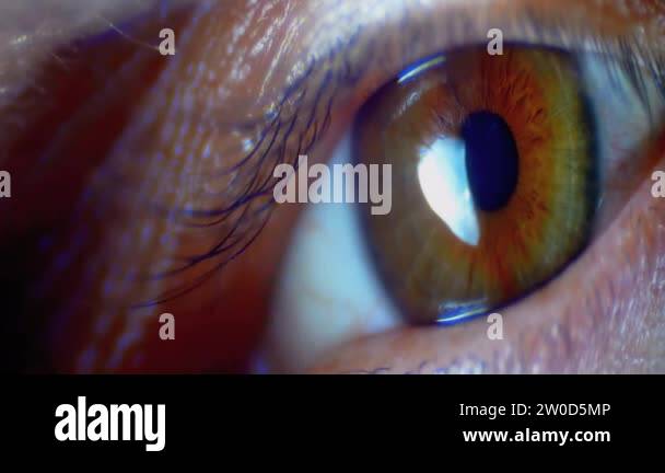 Human Eye on TV Screen Pixels Fluctuates with Color. RGB Monitor Pixels ...