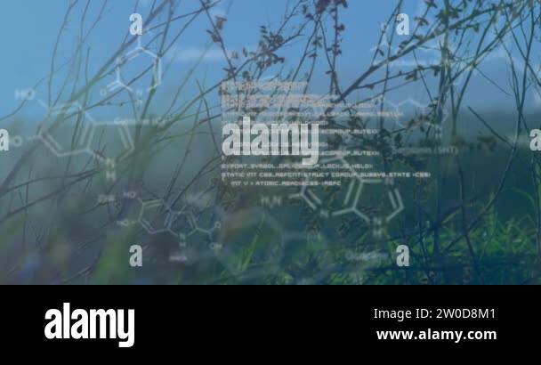 Digital animation of chemical structures and program codes appearing in ...