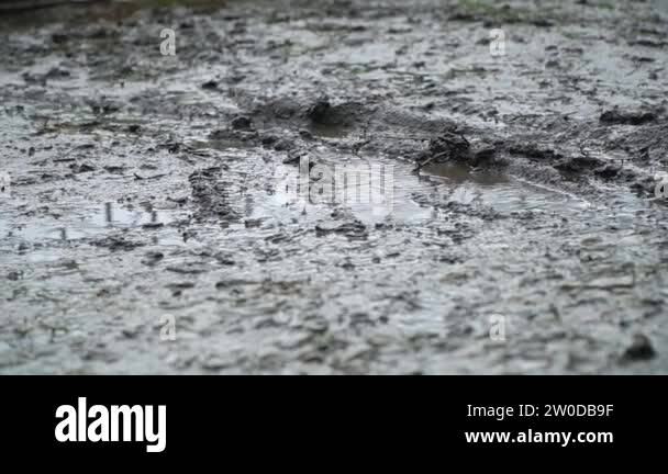 Wet soil in rain puddles Stock Videos & Footage - HD and 4K Video Clips ...