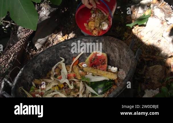 Refuse reduce recycle Stock Videos & Footage - HD and 4K Video Clips ...