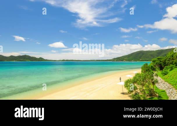 Amami oshima islands Stock Videos & Footage - HD and 4K Video Clips - Alamy