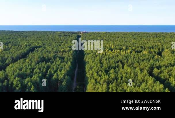 Tower of power lines in the forest. Electric tower line in Landscape ...