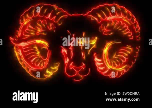 Sheep teeth Stock Videos & Footage - HD and 4K Video Clips - Alamy