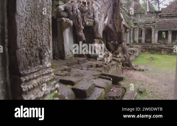 Temples angkor wat overgrown Stock Videos & Footage - HD and 4K Video ...