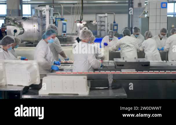 Female workers are displacing pieces of packed snacks on a food factory ...