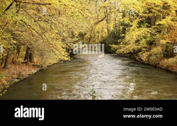 Rapid flow of the river. The crown of the trees hangs over the water ...