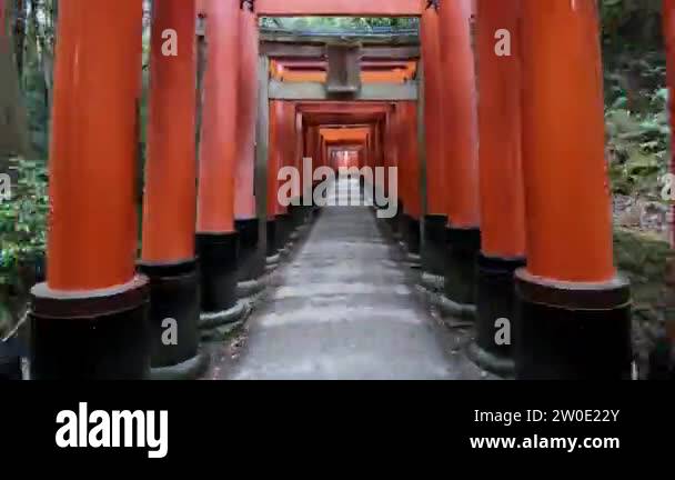 4K, Timelapse beautiful red Tori Gate at famous Fushimi Inari-Taisha ...