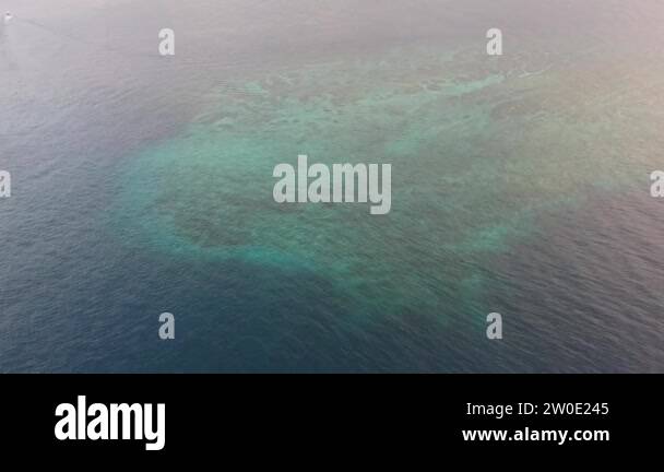 Underwater shelf Stock Videos & Footage - HD and 4K Video Clips - Alamy