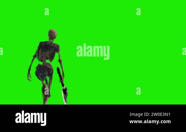 Carcass shield Stock Videos & Footage - HD and 4K Video Clips - Alamy