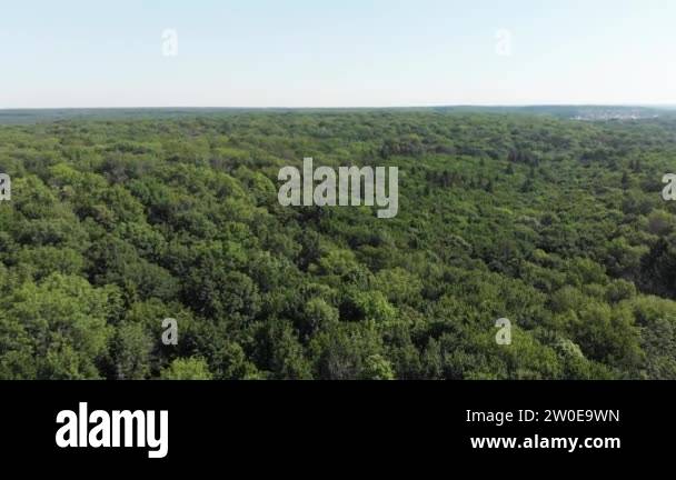 Temperate forest aerial Stock Videos & Footage - HD and 4K Video Clips ...