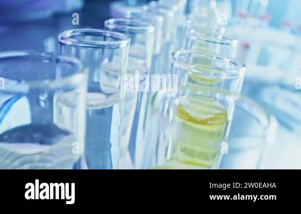 Pharmaceutics Laboratory: Rows of Test Tubes Filled with Experimental ...