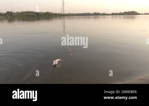 First fleet map Stock Videos & Footage - HD and 4K Video Clips - Alamy