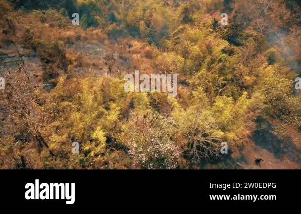 Smog of forest fires. Deforestation and Climate crisis. Toxic haze from ...