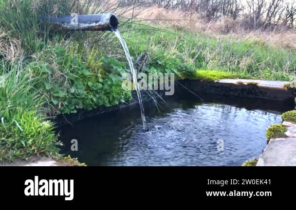Pure water source Stock Videos & Footage - HD and 4K Video Clips - Alamy