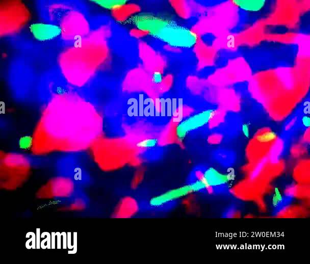 Vibrating pulsating colors in motion Stock Videos & Footage - HD and 4K ...