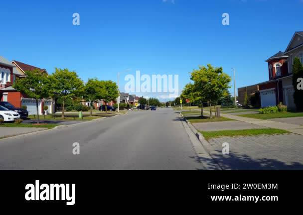 Viewpoint of Man Walking His Dog at City Suburb Four-Way Stop Sign ...