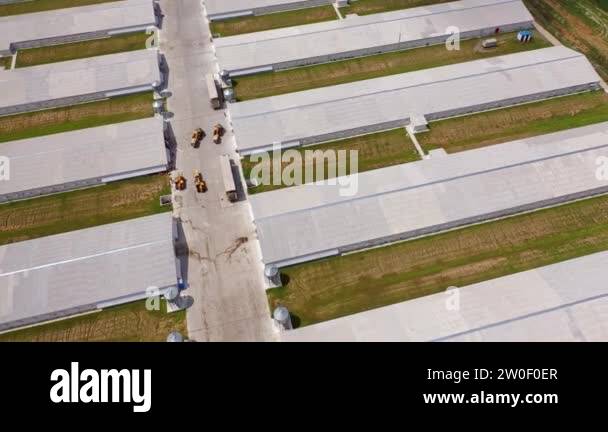 Top view on the roofs of modern buildings for poultry. Contemporary ...