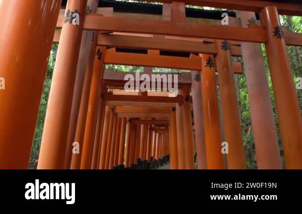 4K, Beautiful red Tori Gate at famous Fushimi Inari-Taisha shrine in ...