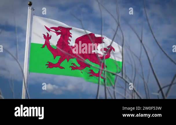 Welsh pride flag Stock Videos & Footage - HD and 4K Video Clips - Alamy