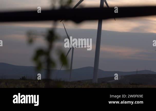 A drip irrigation system dribble in wind turbine background. The ...