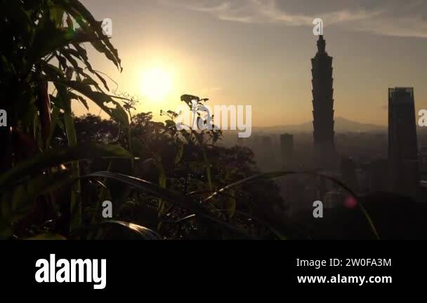4K Elevated view of landscape building Taipei 101 with sunset from ...