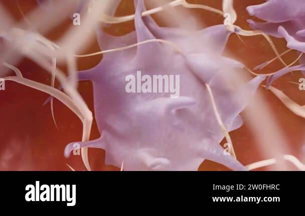 Red blood cell fibrin mesh Stock Videos & Footage - HD and 4K Video ...