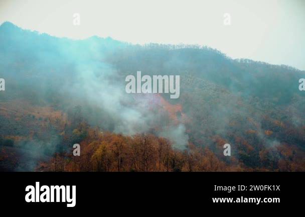 Smog of forest fires. Deforestation and Climate crisis. Toxic haze from ...